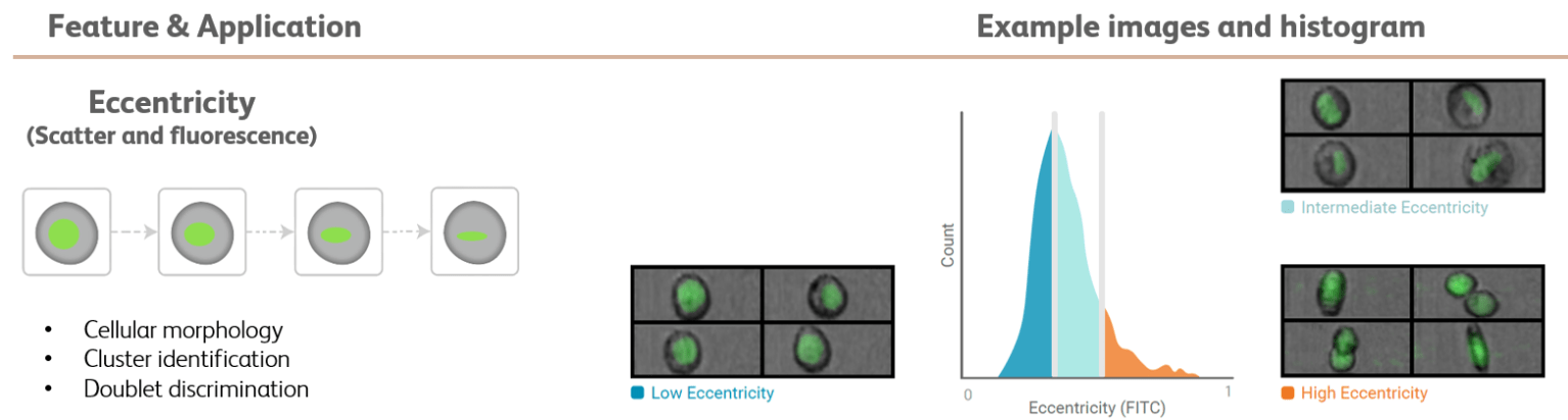 BD FACSDiscover S8 Data Analysis - FlowJo Documentation | FlowJo ...