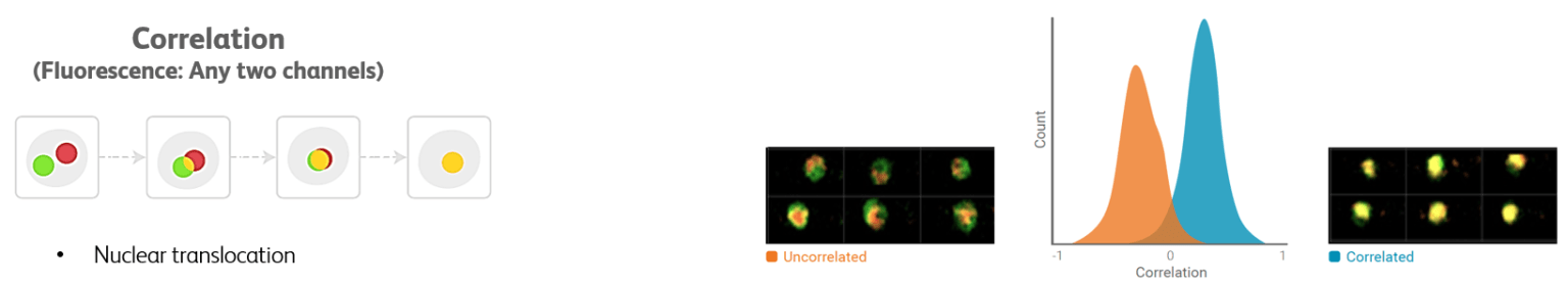 Bd Facsdiscover S8 Data Analysis Flowjo Documentation Flowjo