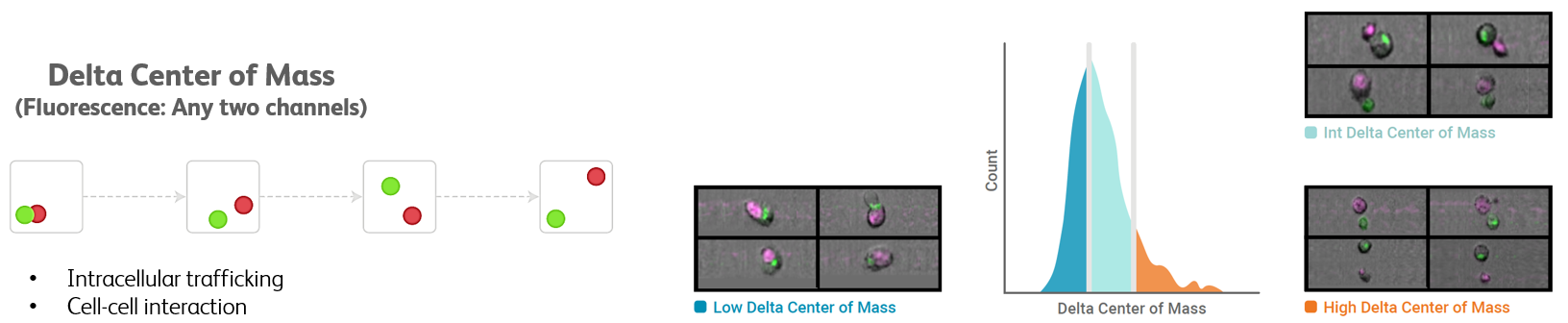 BD FACSDiscover S8 Data Analysis - FlowJo Documentation | FlowJo ...