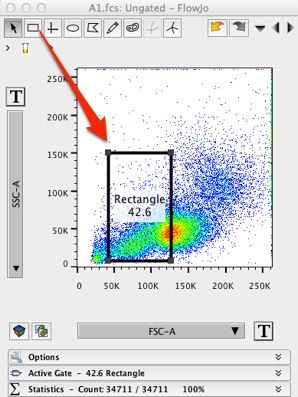 Drawing Gates | FlowJo v10.0.7 Documentation